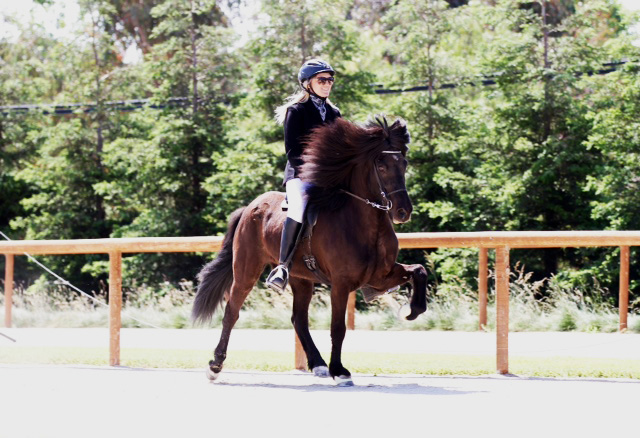 Long distance coaching 1 - Töltmaster